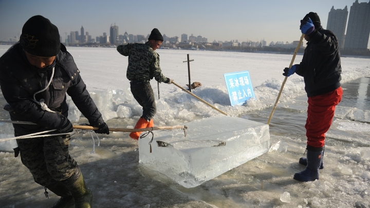 Ice harvest for Harbin Ice Festival - China Plus