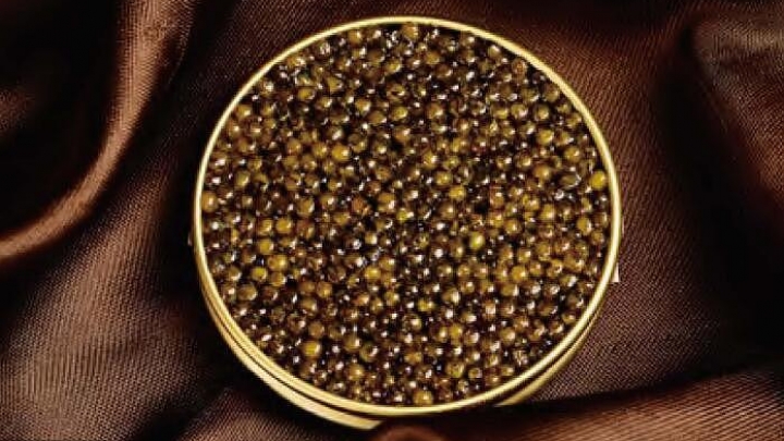 China becomes a new world leader in production of high-quality caviar ...