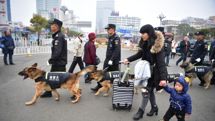 Police dogs essential to travel rush security - China Plus