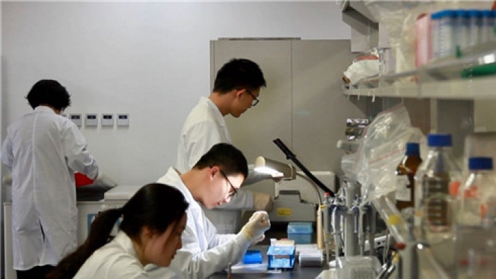 Chinese scientists progress in decoding human genome - China Plus