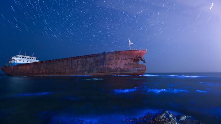 Dalian beaches glow in the dark - China Plus