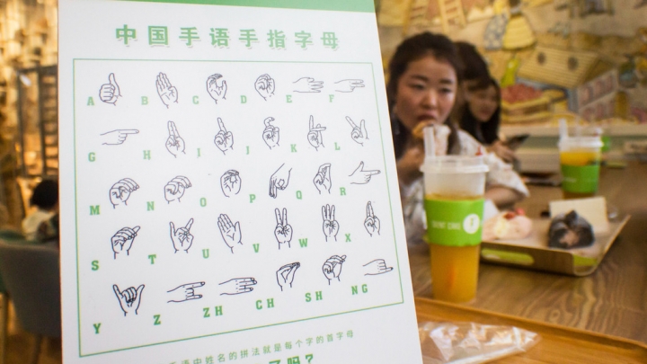 National standards for Chinese sign language released - China Plus