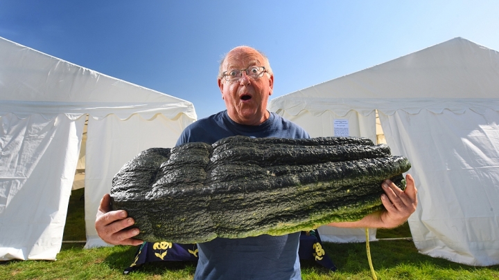 Gordon Lowe with his massive zucchini - China Plus