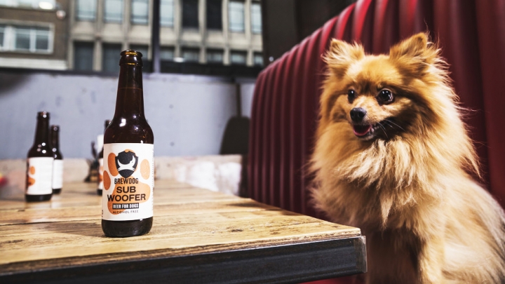 Craft beer for dogs launched in UK - China Plus