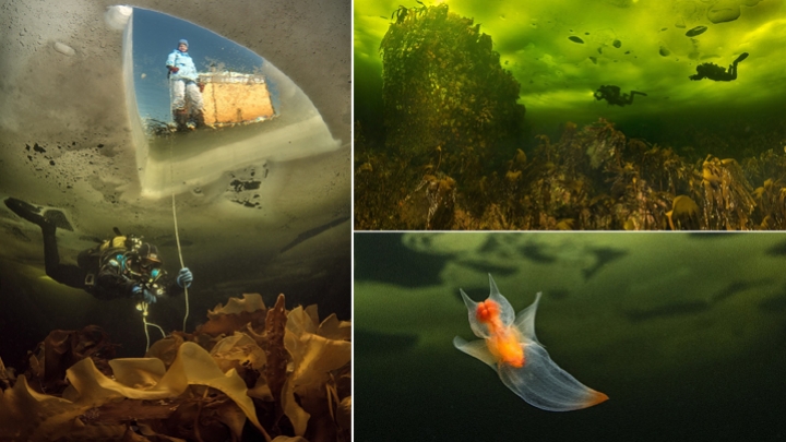 Alien-like surreal world hidden underwater at White Sea - China Plus