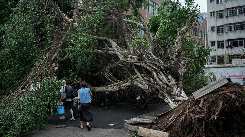 Xi poziva na veću pomoć u katastrofi nakon što je super tajfun Yagi ...
