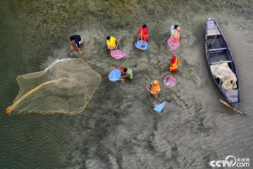 အိႏၵိယအမ်ိဳးသမီးမ်ား ျမစ္ထဲတြင္ ငါးဖမ္း