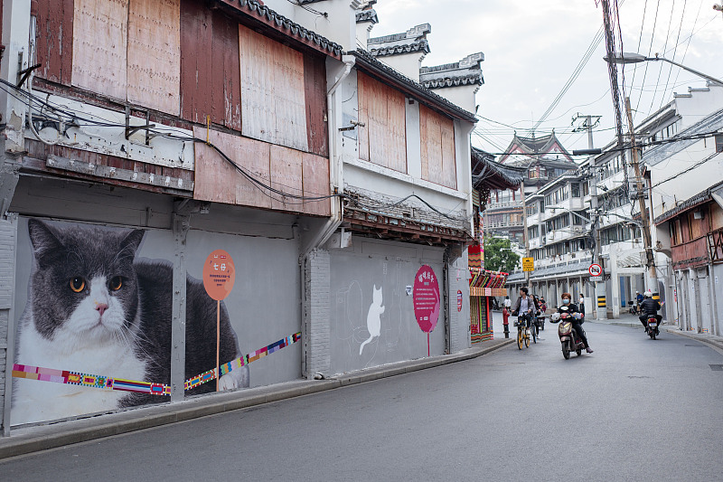 Shanghai: meow~ “Cat Street sul Bund” illumina la BFC Bund Art Season