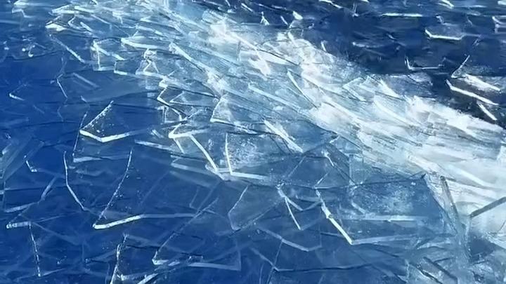 Banchize de gheață