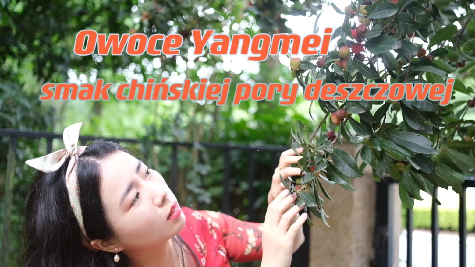 Owoce Yangmei – smak chińskiej pory deszczowej